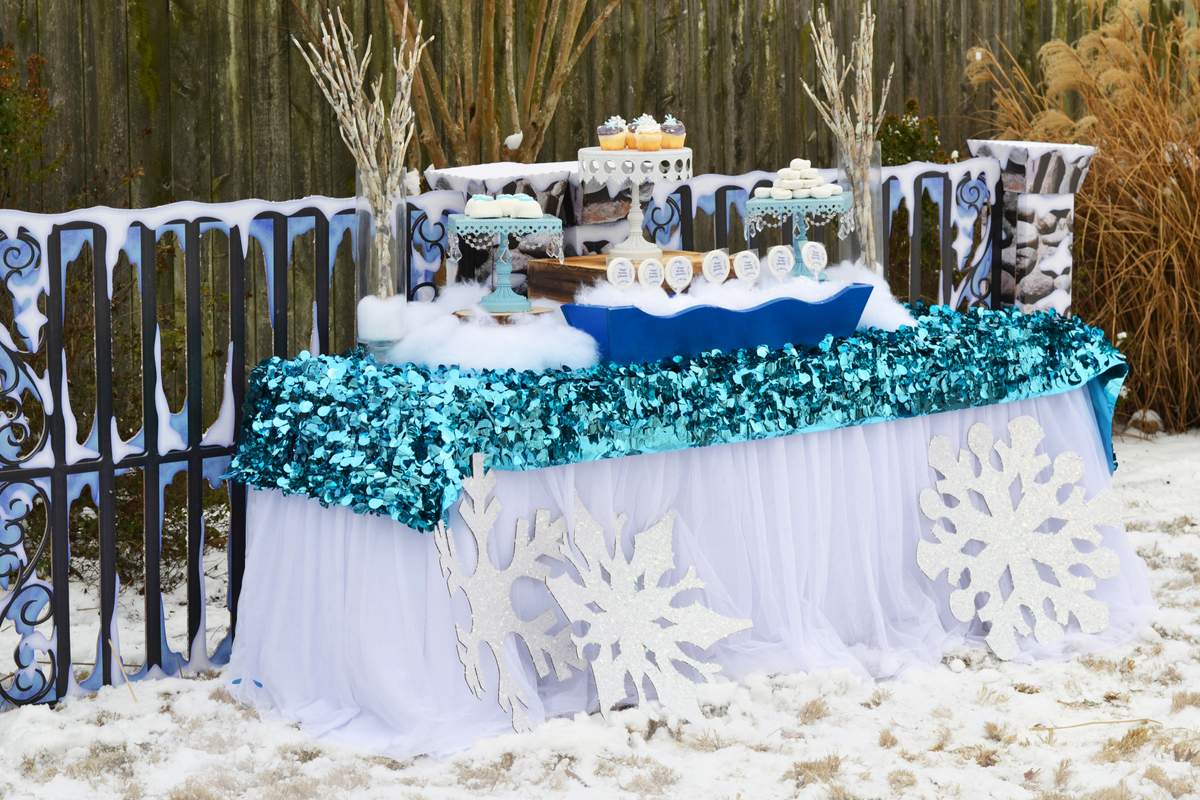 Winter, Snow Birthday Party Ideas | Photo 8 of 56 | Catch My Party