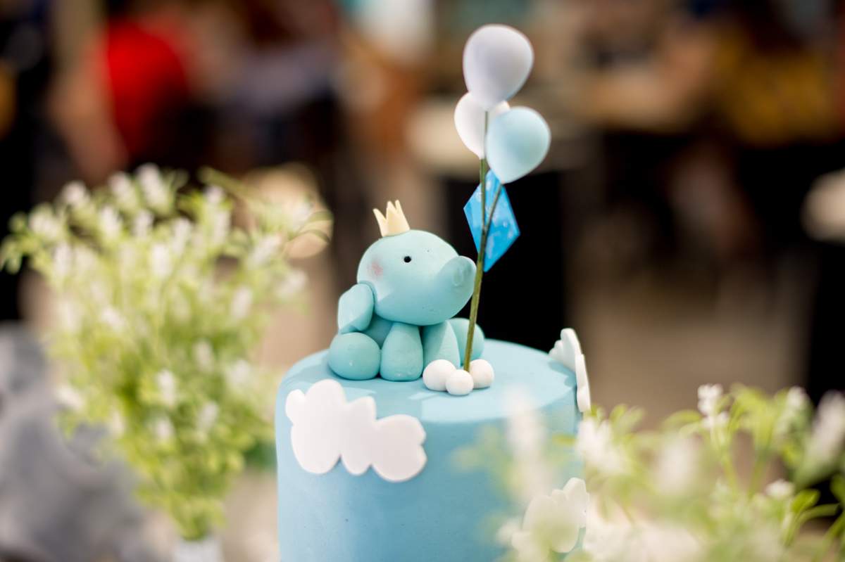 Elephant Theme Birthday Party Ideas | Photo 1 of 19 | Catch My Party