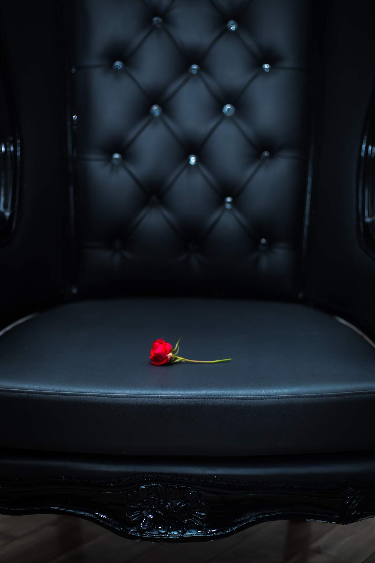 "Kiss from a Rose" & Bruce Wayne/Batman Inspired Birthday Dinner Party ...