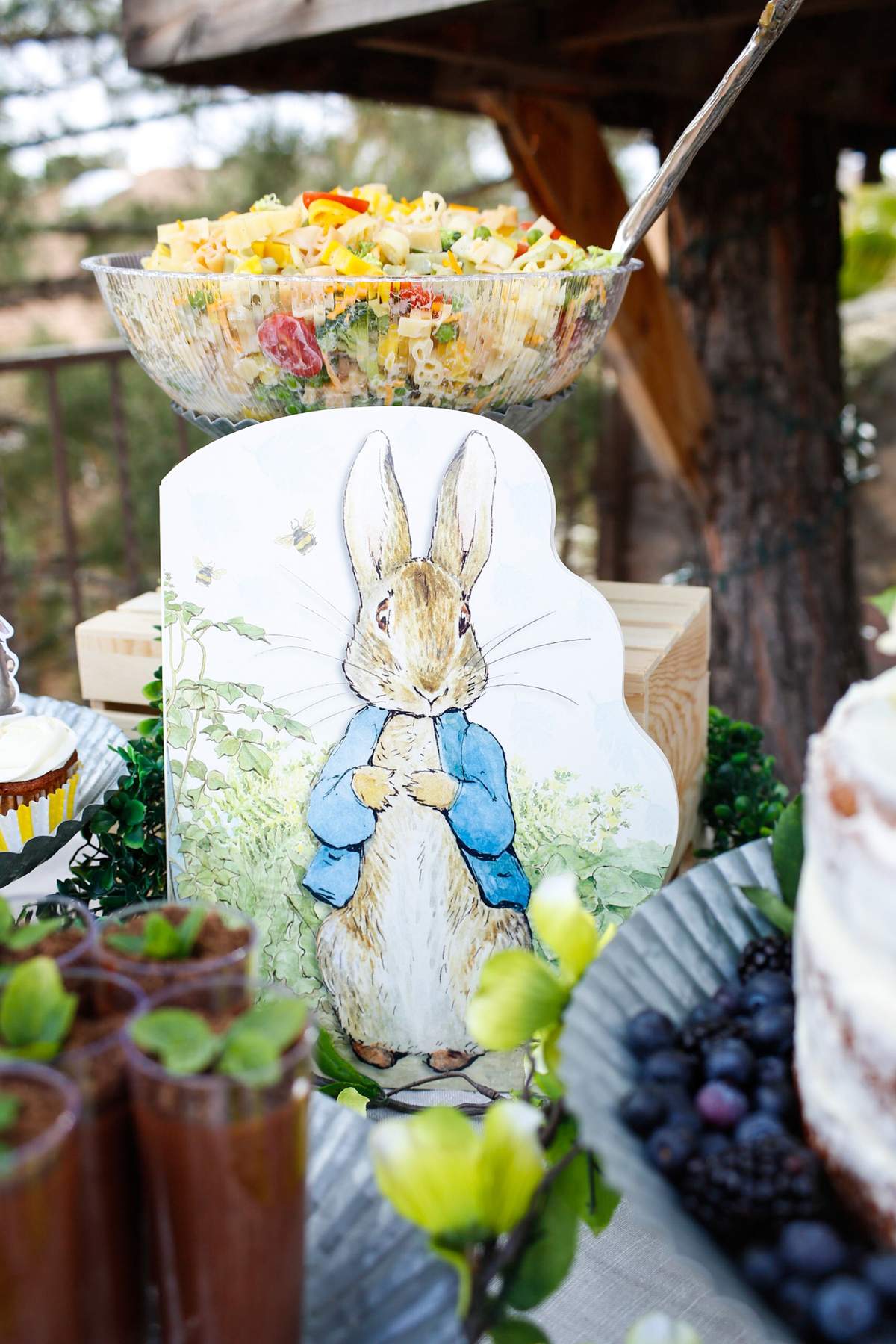 Peter Rabbit Spring Party Ideas | Photo 7 of 11 | Catch My Party