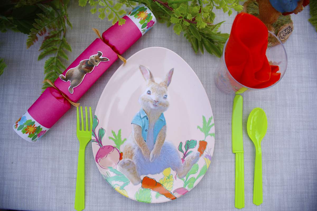 Peter Rabbit Spring Party Ideas | Photo 7 of 11 | Catch My Party