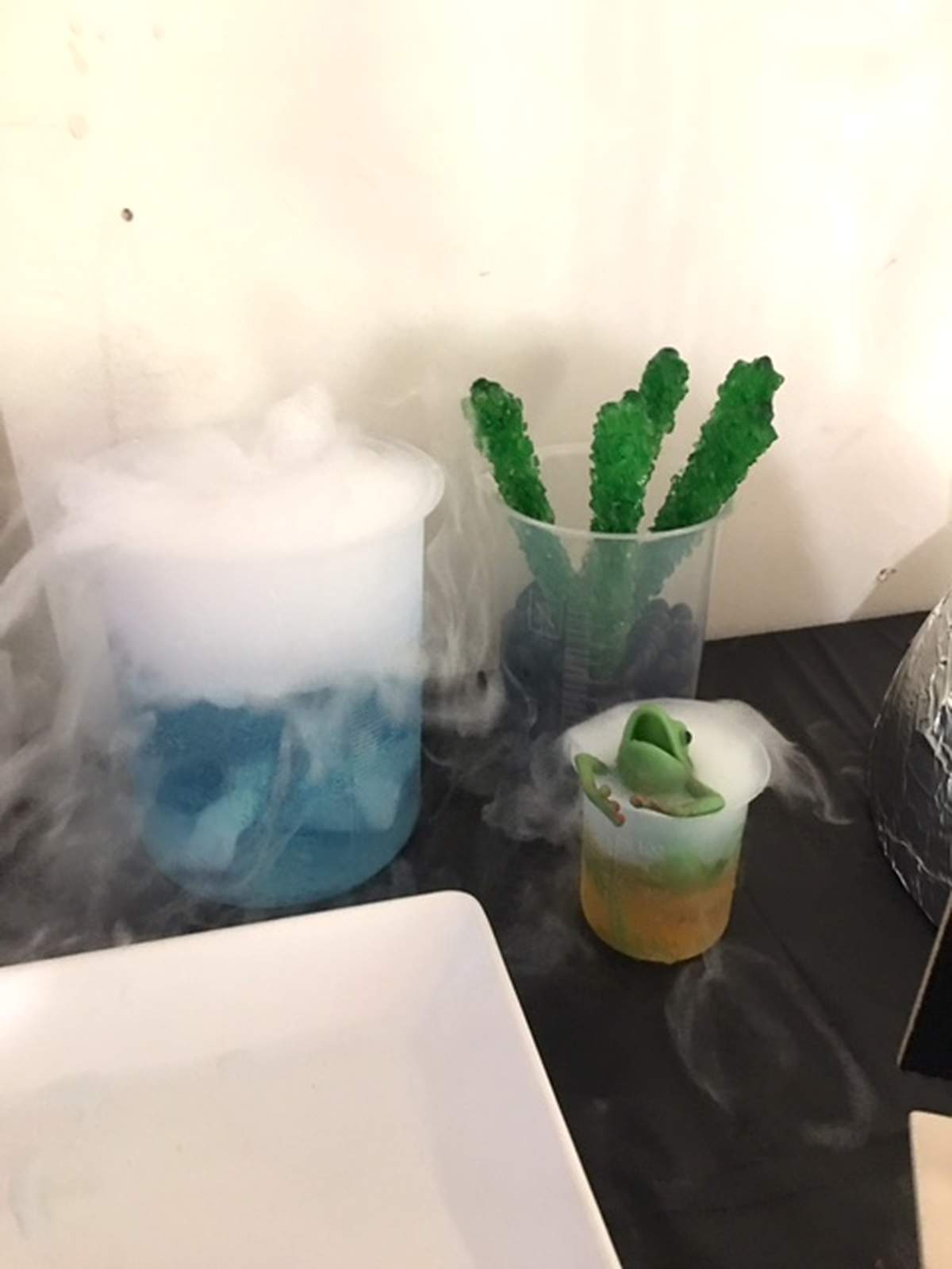 Science Lab Birthday Party Ideas | Photo 1 of 40 | Catch My Party