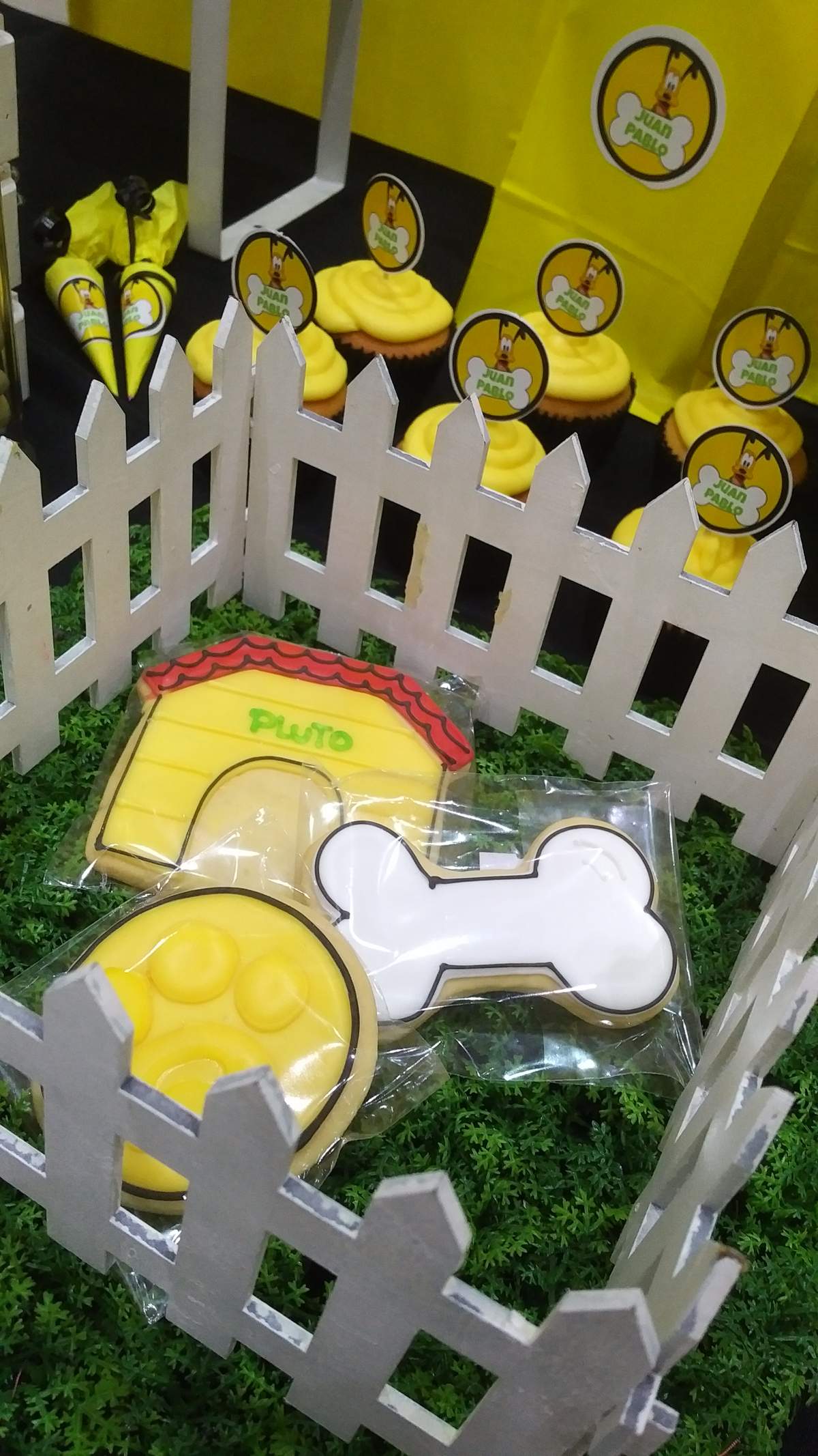 Pluto Birthday Party Ideas | Photo 1 of 9 | Catch My Party