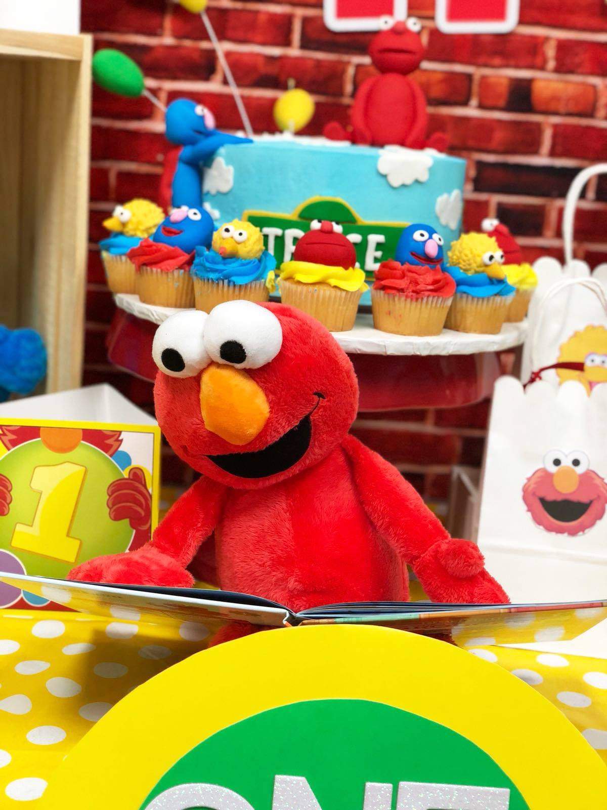 Sesame Street Birthday Party Ideas | Photo 2 of 22 | Catch My Party