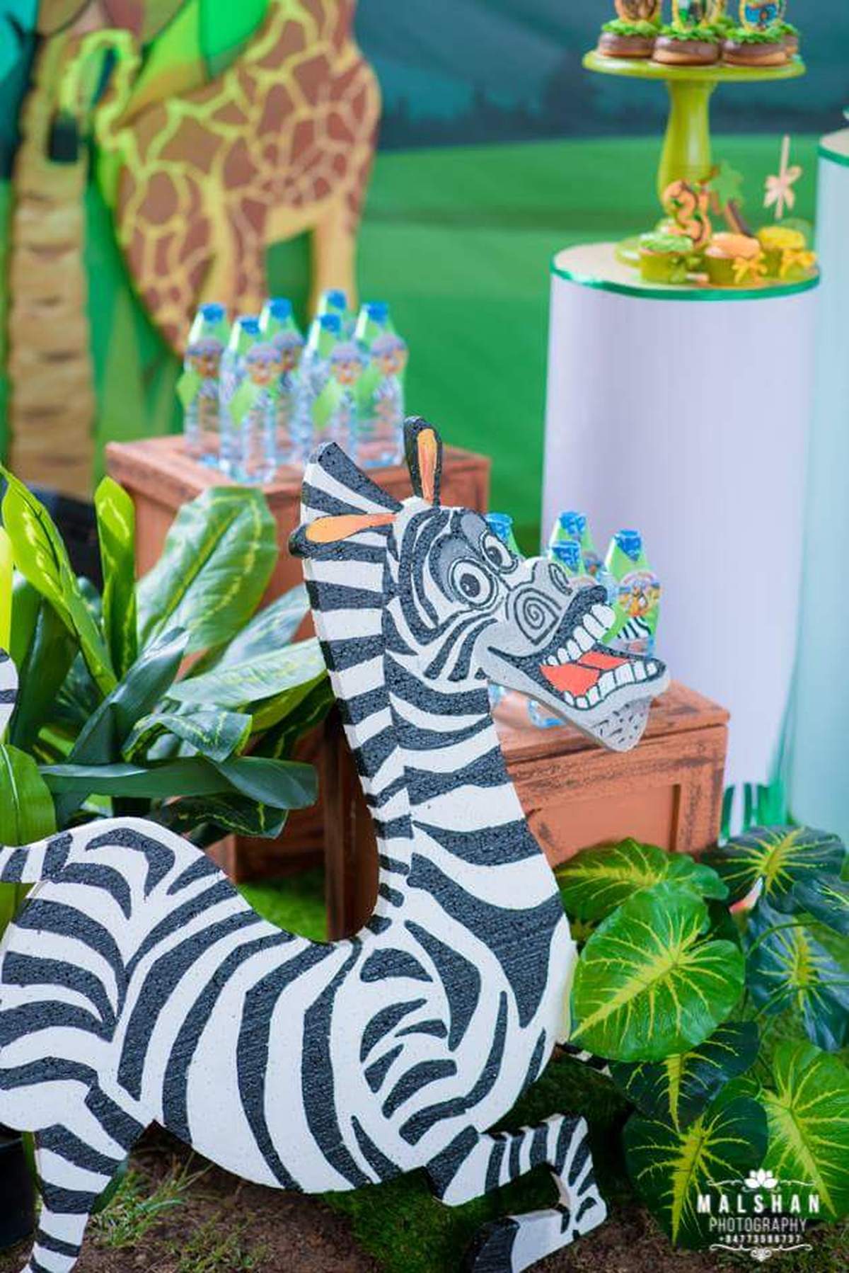 Madagascar Birthday Party Ideas | Photo 5 of 28 | Catch My Party