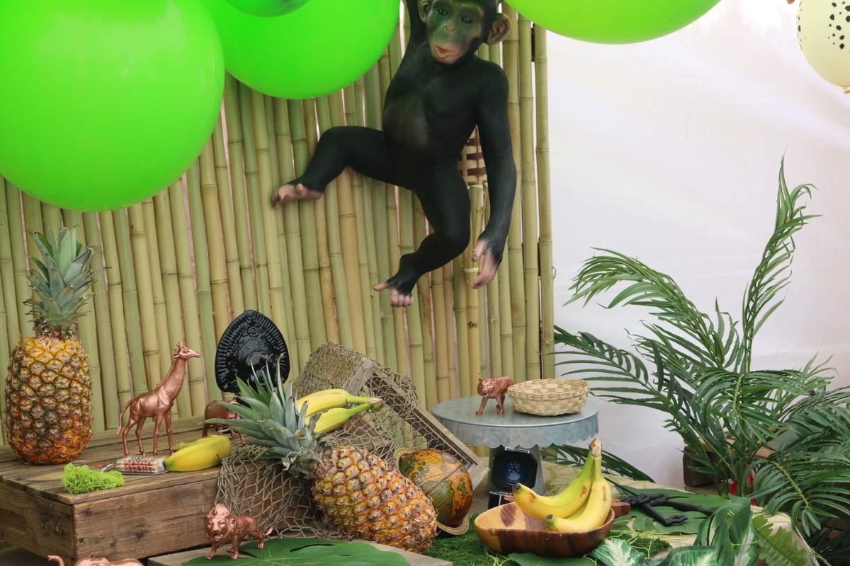 Welcome to the Jungle Birthday Party Ideas | Photo 1 of 86 | Catch My Party