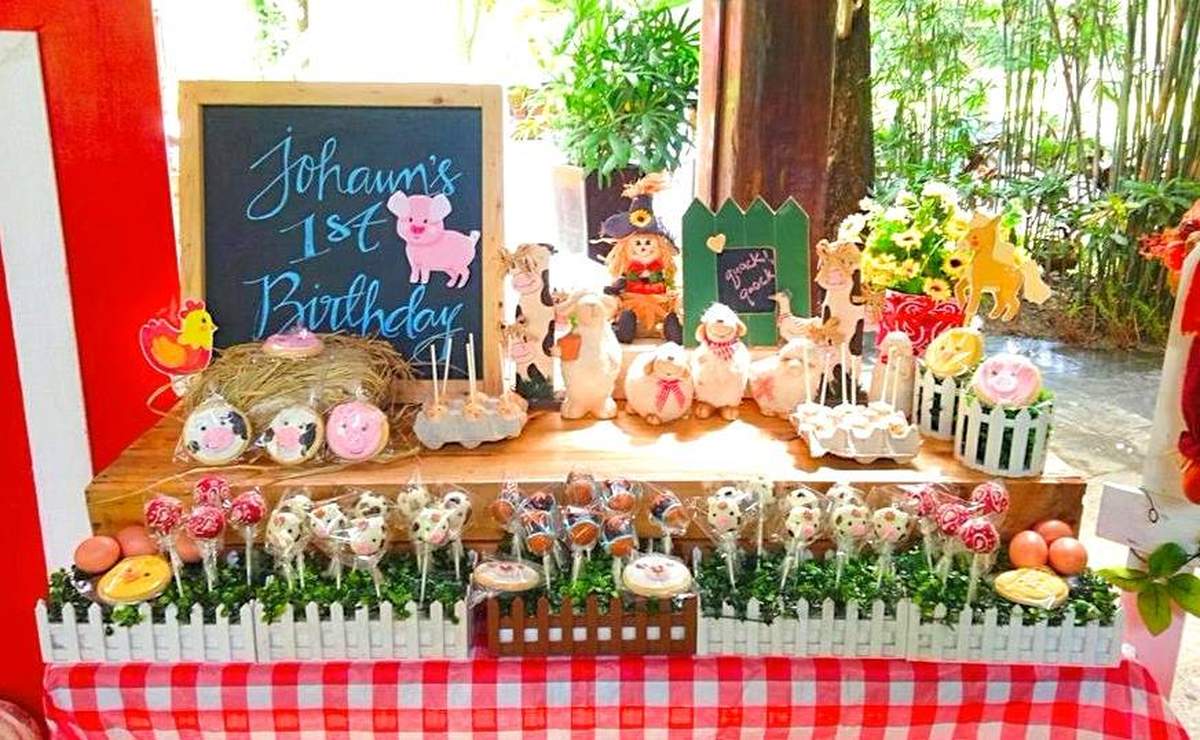 Farm Party Birthday Party Ideas | Photo 1 of 13 | Catch My Party