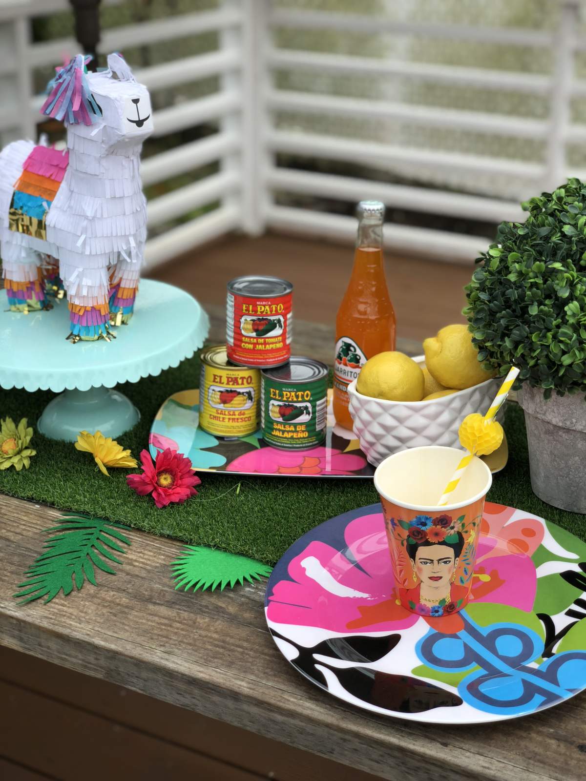 Cinco De Mayo Cinco De Mayo Party Ideas | Photo 9 of 22 | Catch My Party
