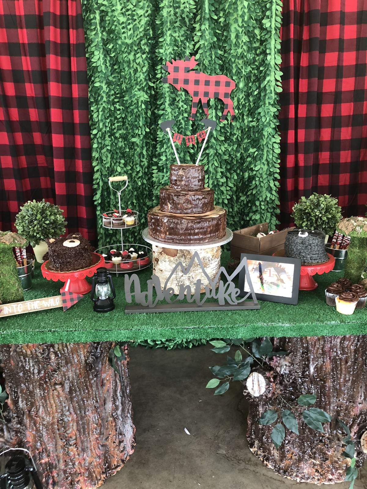 Lumberjack Birthday Party Ideas | Photo 1 of 44 | Catch My Party