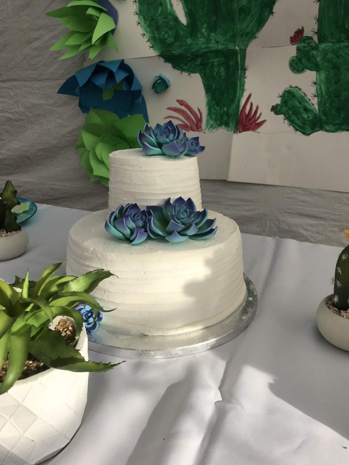 Birthday "Cactus and succulents birthday party" | Catch My Party