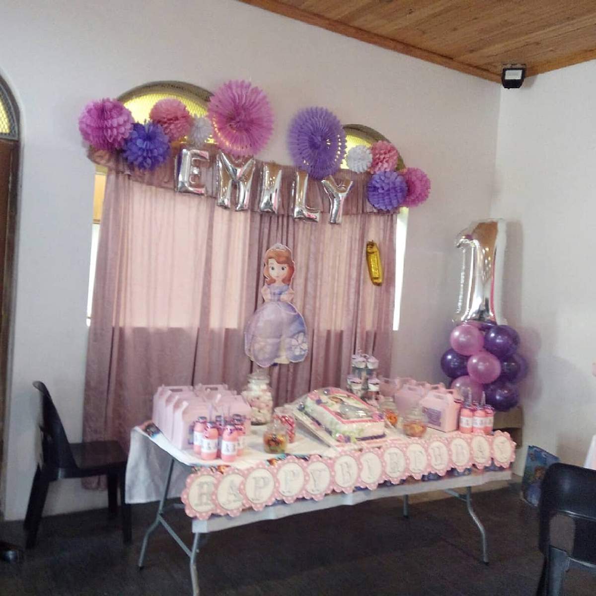 Princess Sofia / Birthday "Princess Sofia 1st birthday party" | Catch ...