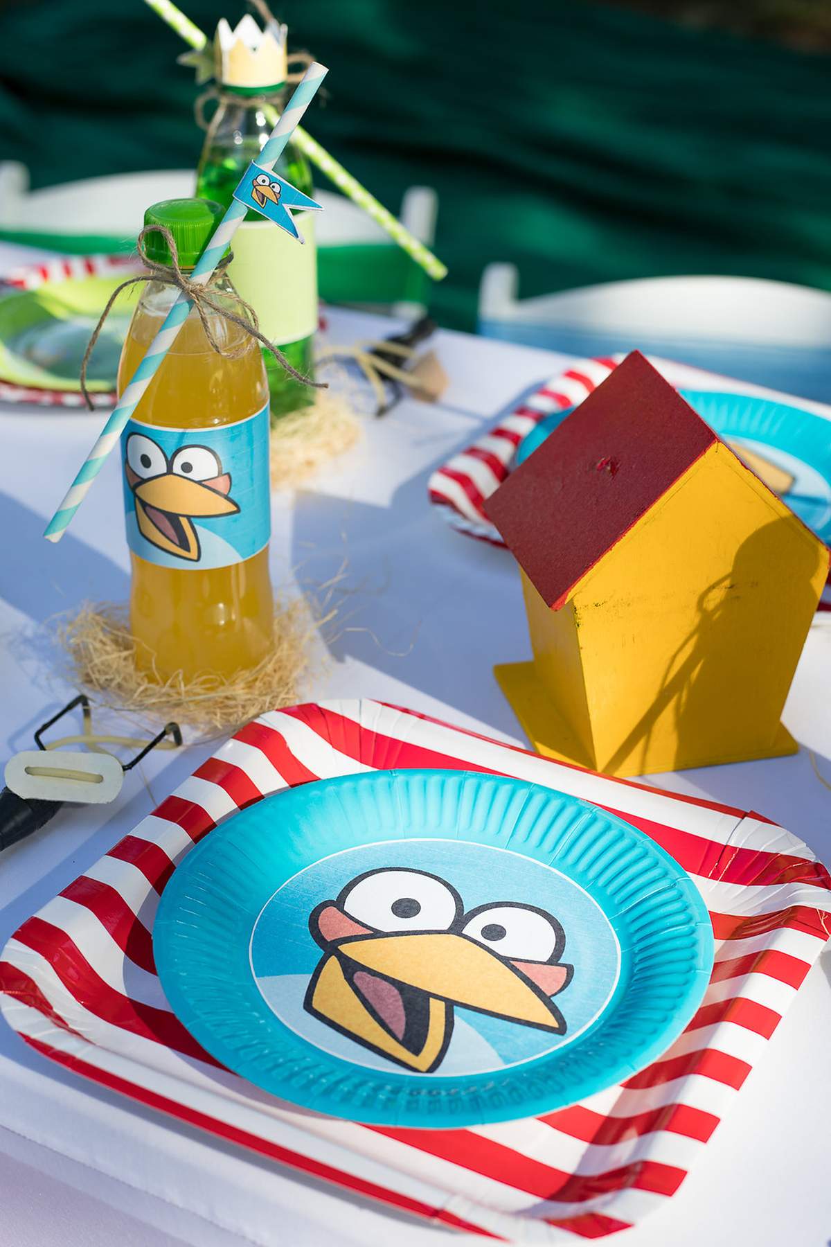 Angry Birds Birthday Party Ideas | Photo 1 of 42 | Catch My Party
