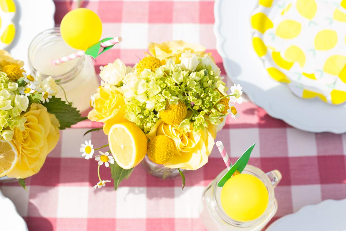 Lemons and Lemonade / Summer "Lemon Grove Party" | Catch My Party
