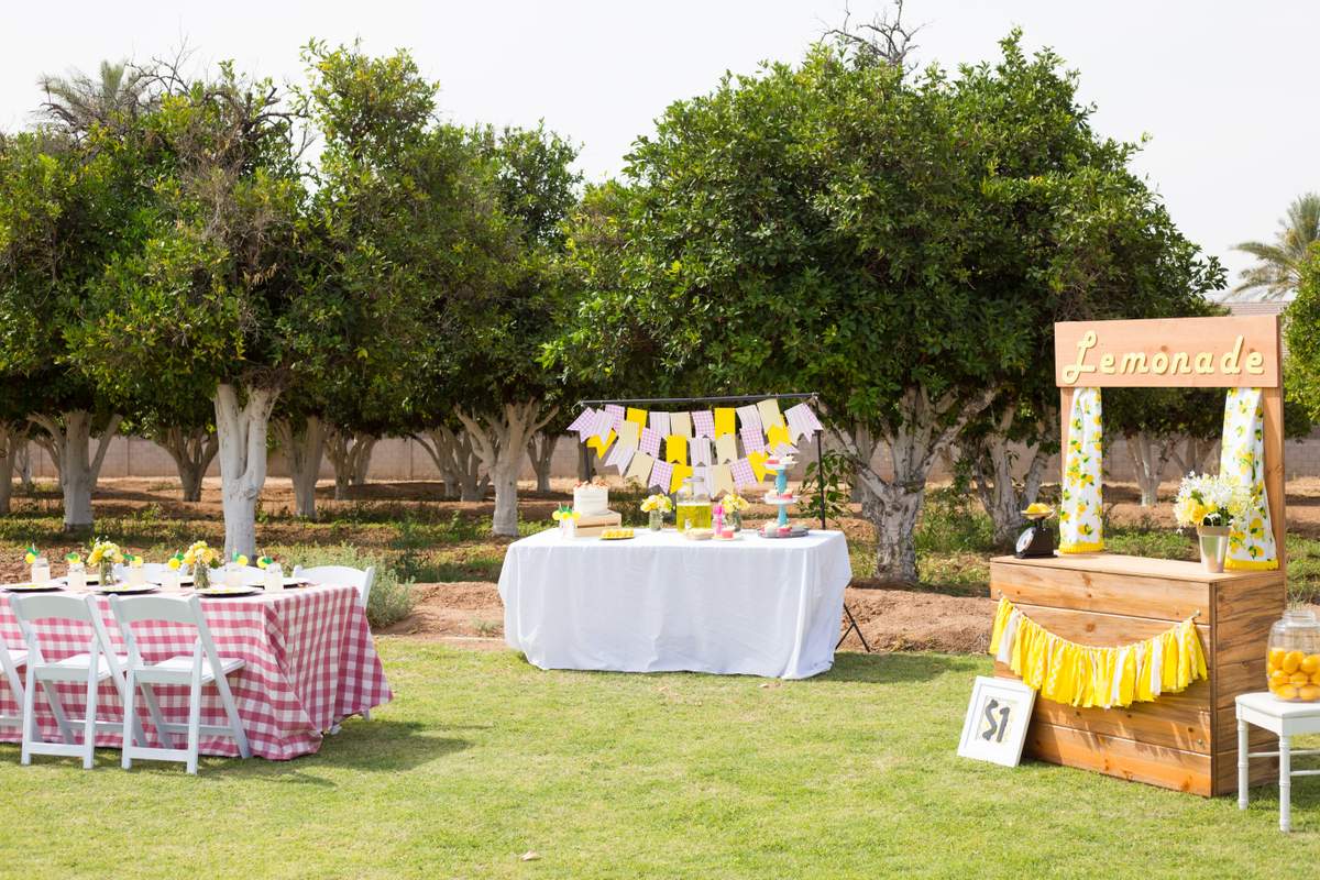 Lemons and Lemonade Summer Party Ideas | Photo 2 of 10 | Catch My Party