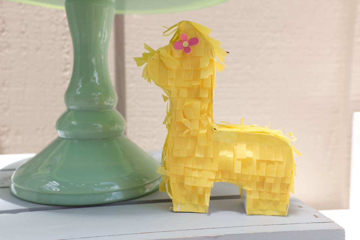 Llama & Cactus Birthday Party Ideas | Photo 1 of 47 | Catch My Party
