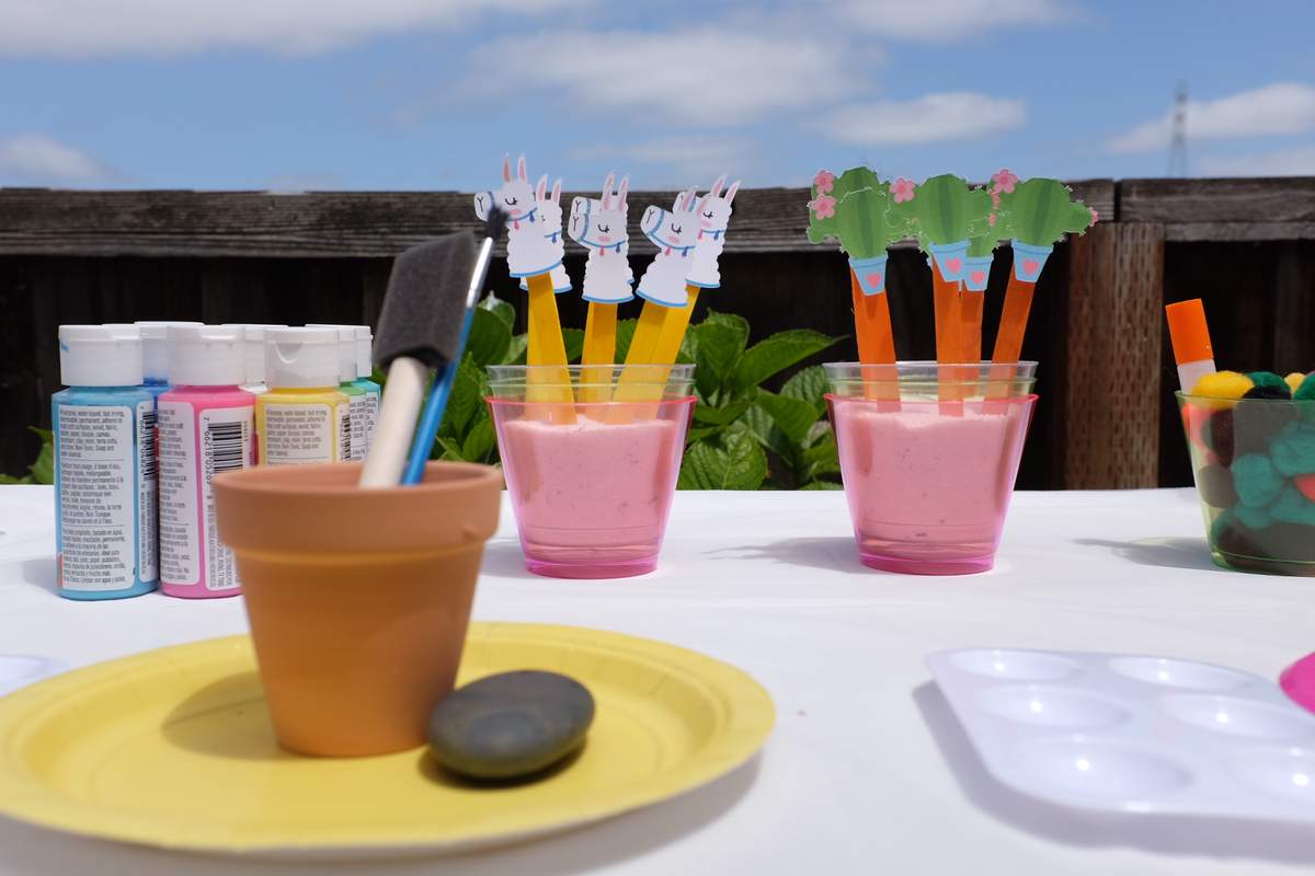 Llama & Cactus Birthday Party Ideas | Photo 1 of 47 | Catch My Party