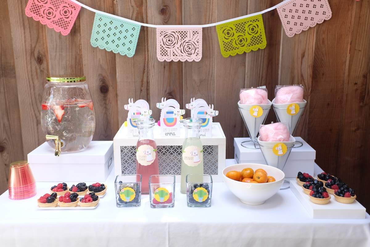 Llama & Cactus Birthday Party Ideas | Photo 1 of 47 | Catch My Party