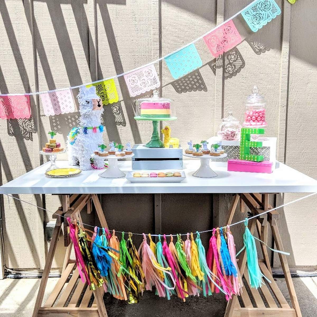 Llama & Cactus / Birthday "Llama & Cactus Party" | Catch My Party