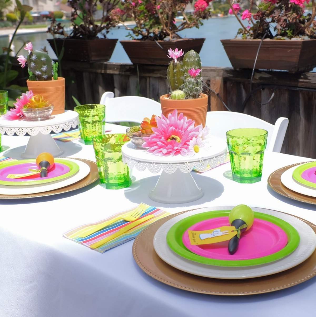 Llama & Cactus Birthday Party Ideas | Photo 1 of 47 | Catch My Party