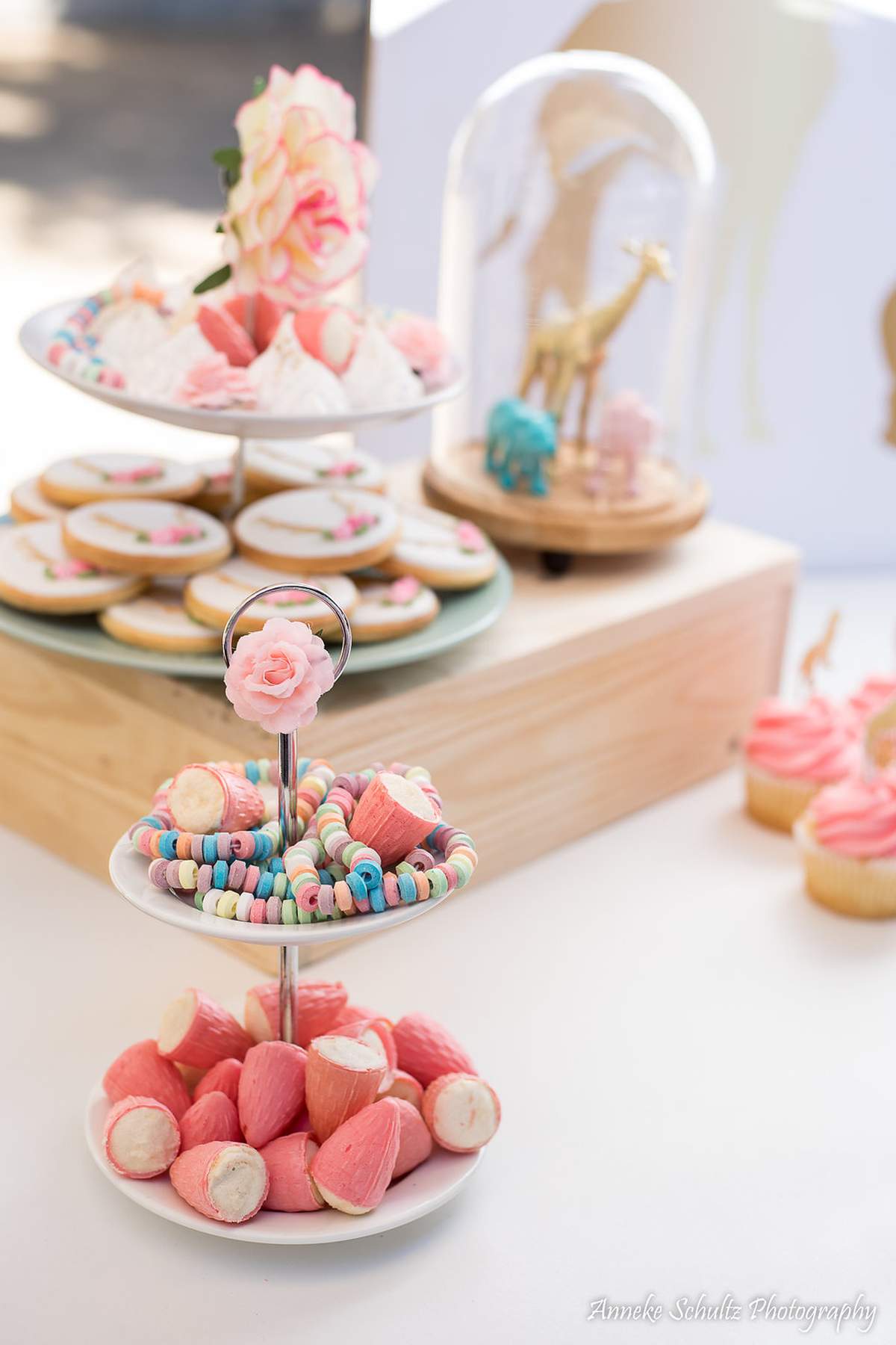 Wild one Birthday Party Ideas | Photo 12 of 31 | Catch My Party