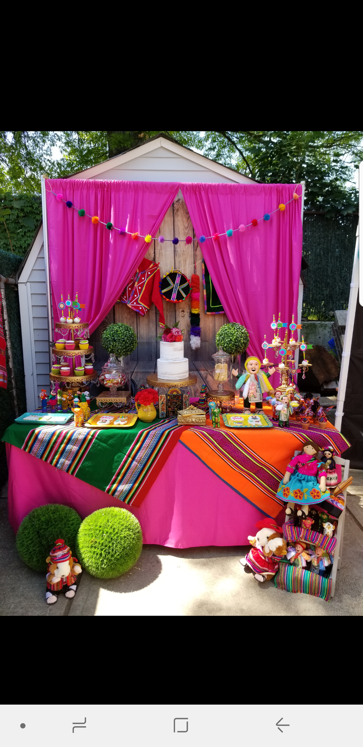 Peruvian Theme party Birthday Party Ideas | Photo 1 of 18 | Catch My Party