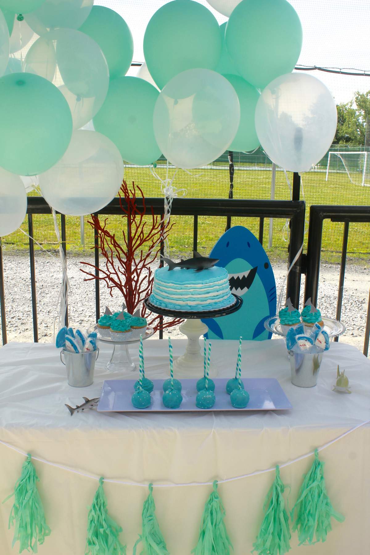 Shark / Birthday "Shark themed pool party " | Catch My Party