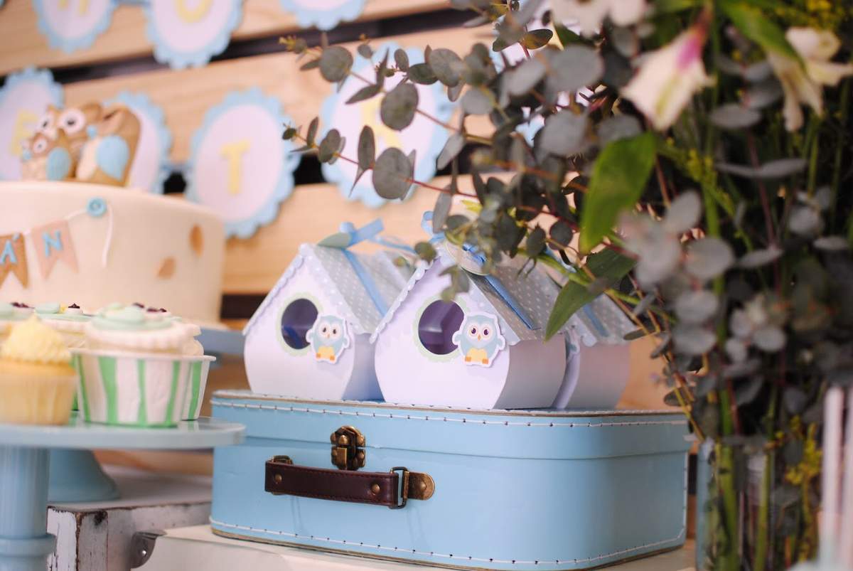Búhos Baby Shower Party Ideas | Photo 1 of 79 | Catch My Party