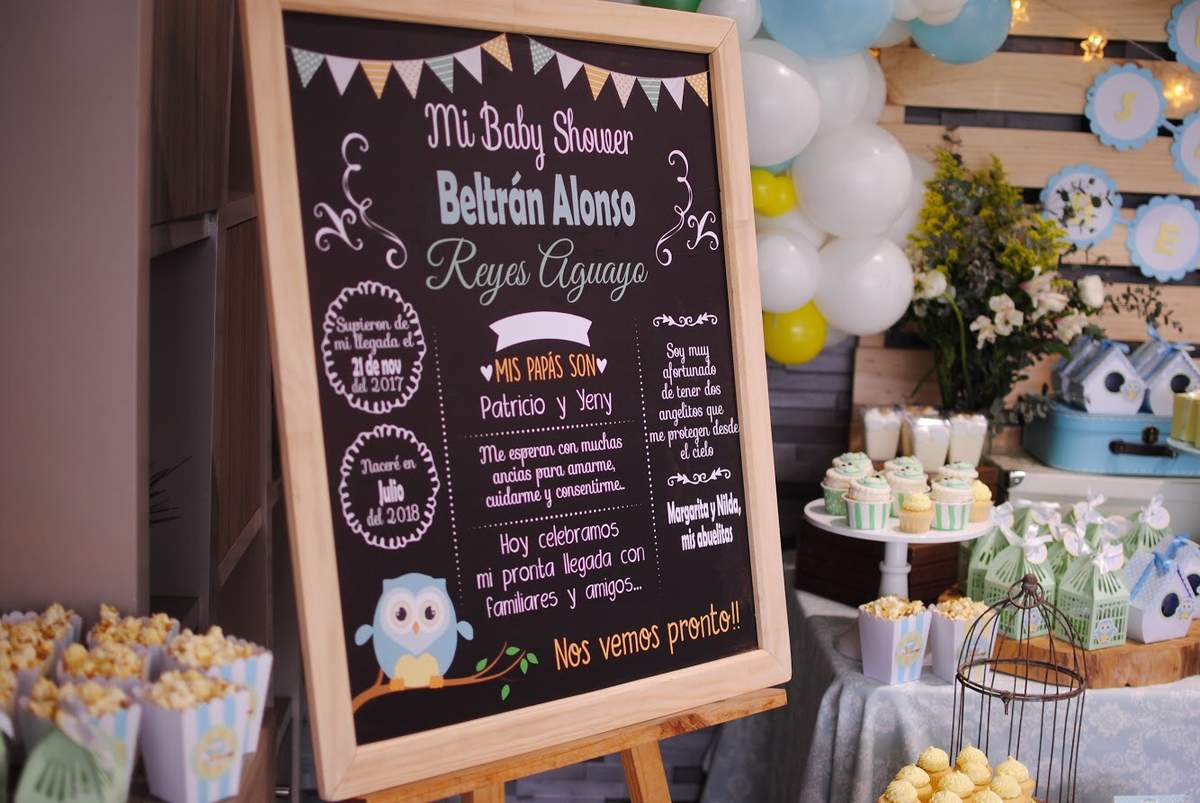 Búhos Baby Shower Party Ideas | Photo 9 of 79 | Catch My Party