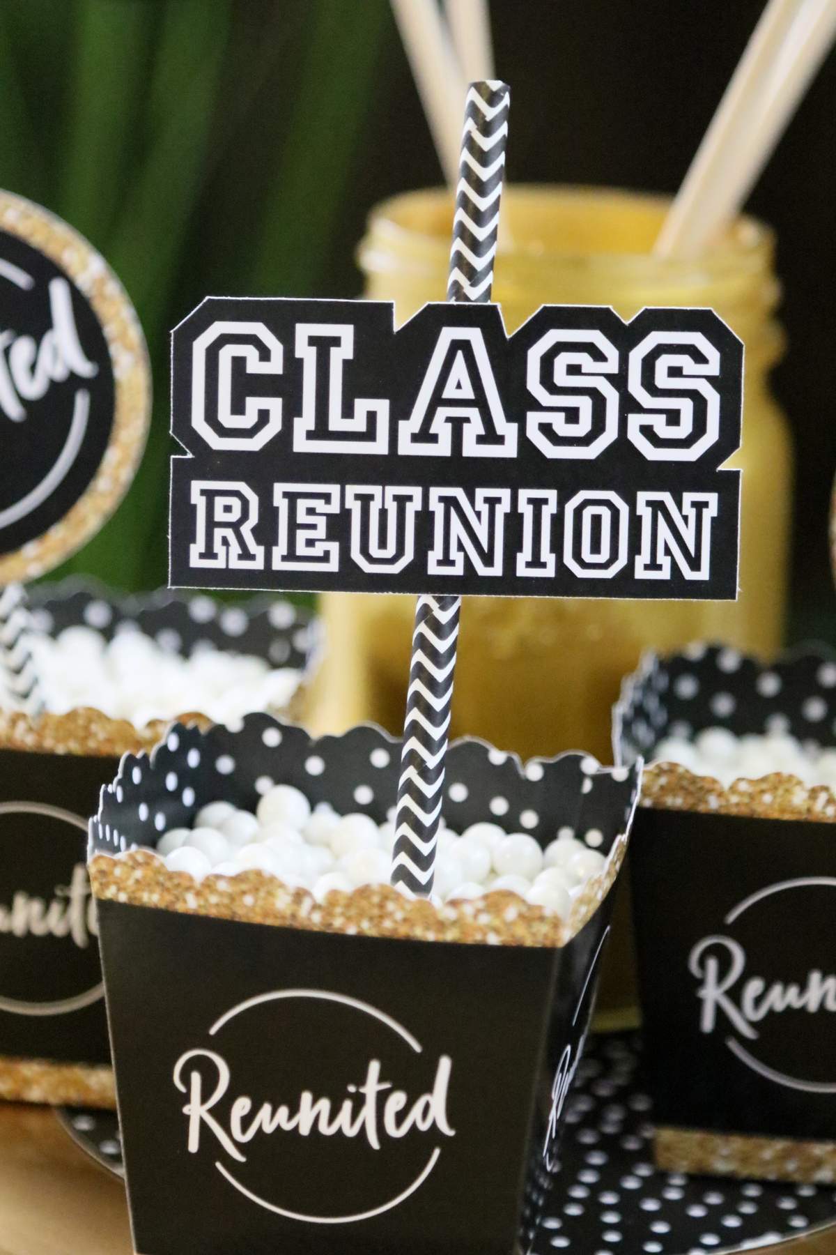 Reunion Class Reunion Party Ideas | Photo 1 of 14 | Catch My Party