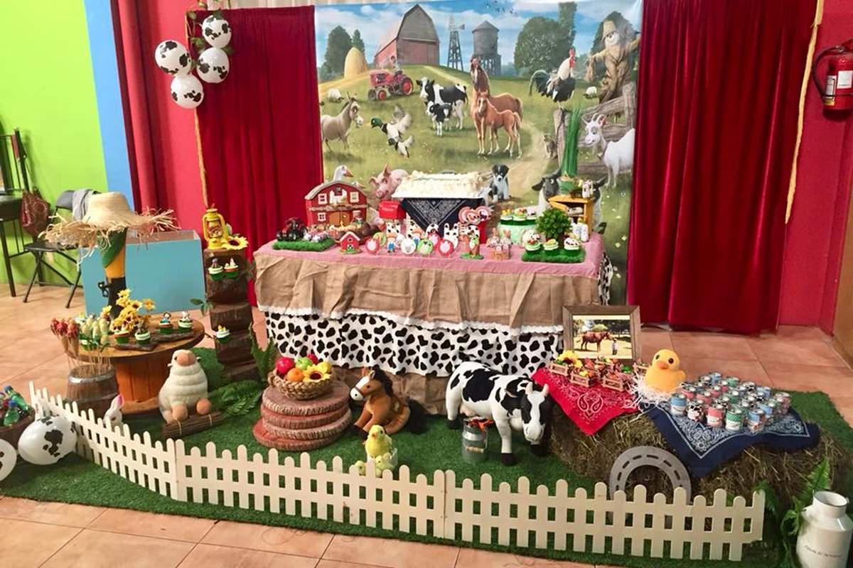 Farm / Birthday "FUNNY FARM" | Catch My Party