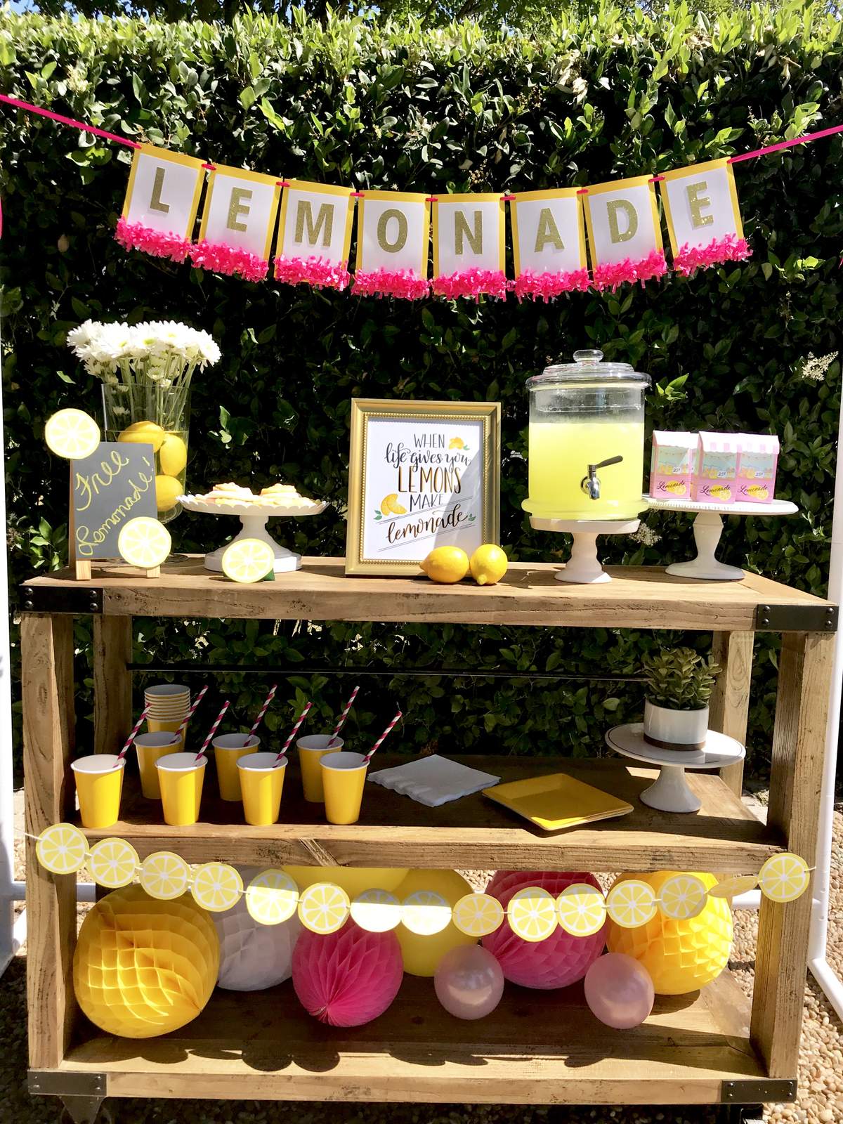 Summer "Kids Lemonade Stand" | Catch My Party