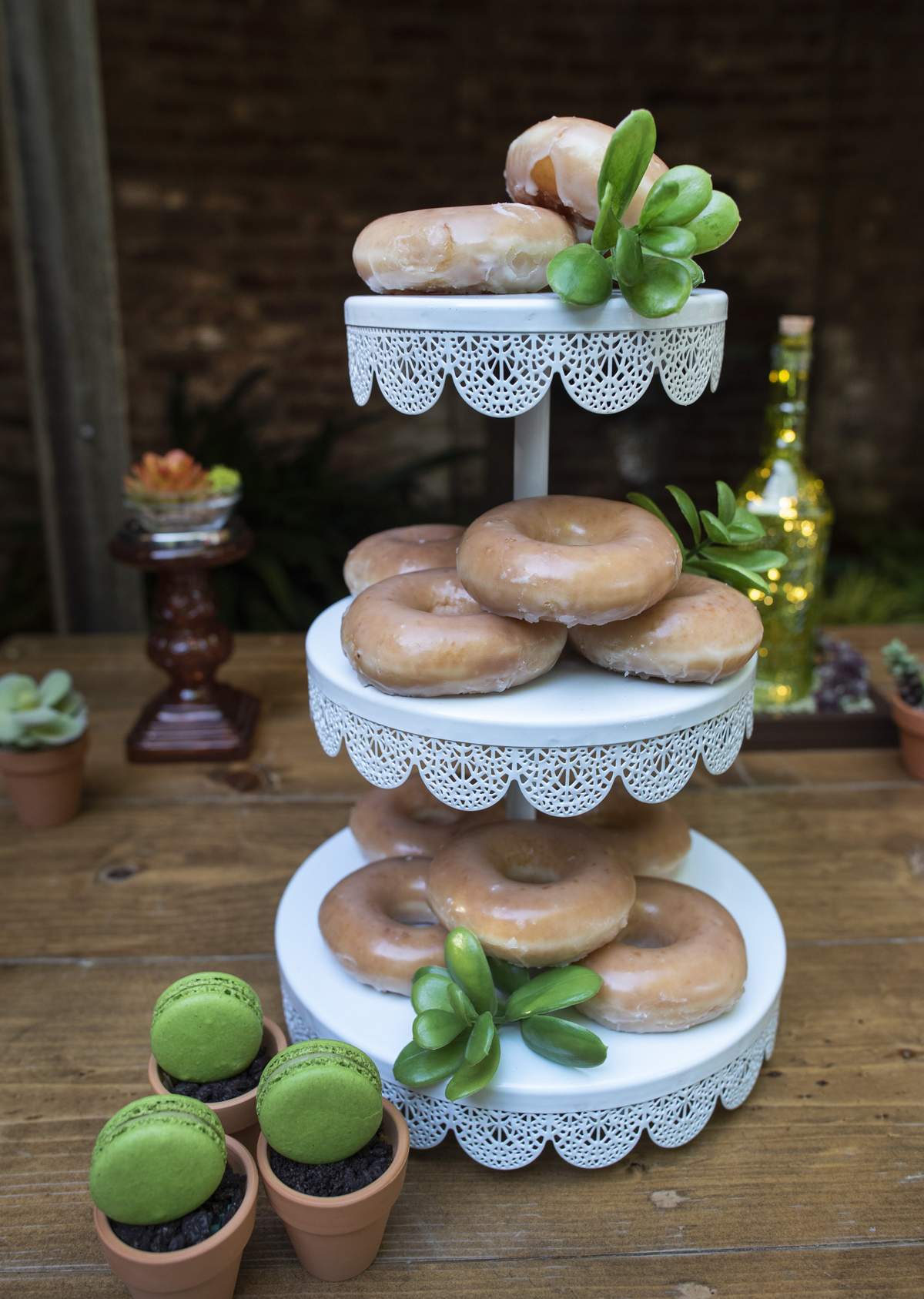 Rustic ( Cactus + Succulent ) theme party Birthday Party Ideas | Photo ...