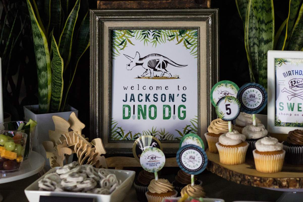 Dinosaurs / Birthday "Dinosaur Dig Paleontologist Party" | Catch My Party