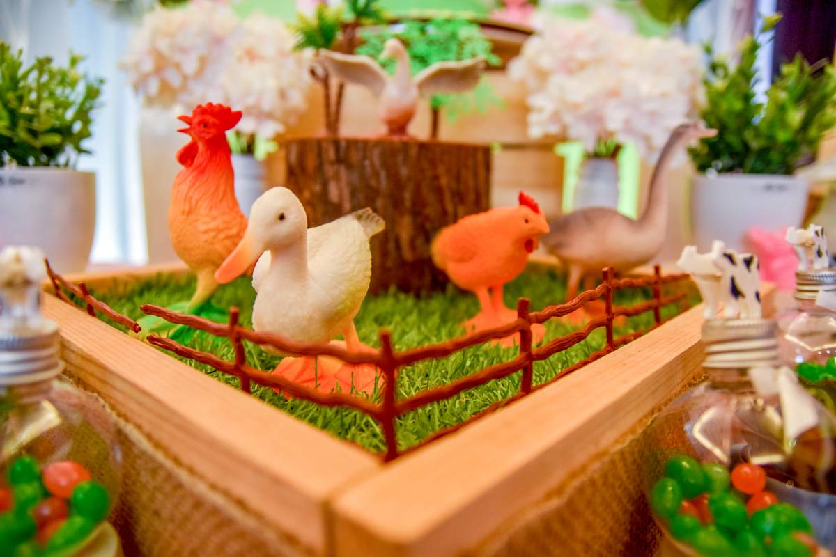 Barnyard Fun Birthday Party Ideas | Photo 2 of 17 | Catch My Party