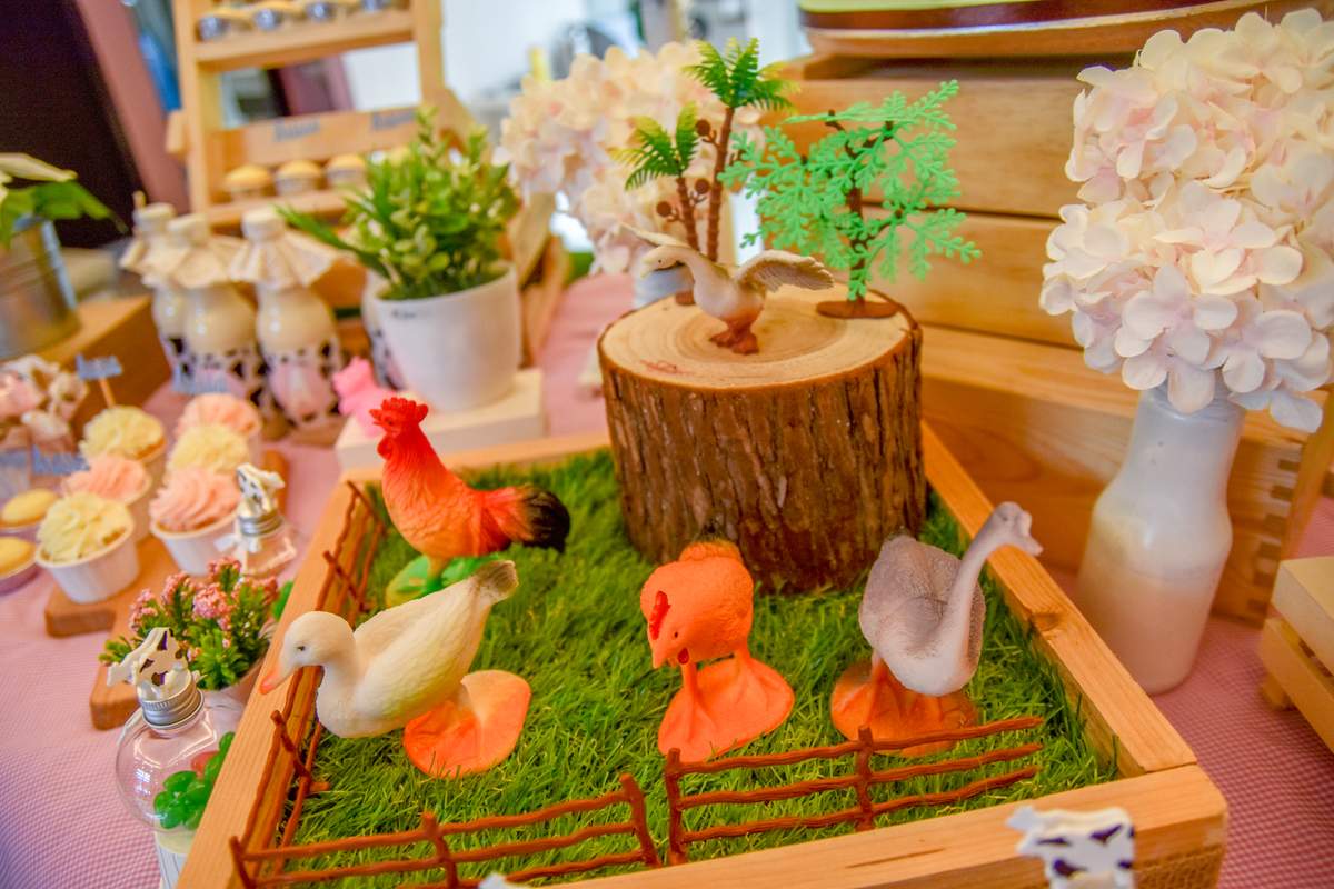 Barnyard Fun Birthday Party Ideas | Photo 1 of 17 | Catch My Party