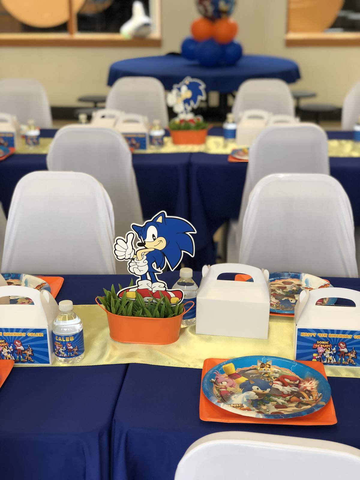 Sonic the Hedgehog Birthday Party Ideas | Photo 4 of 20 | Catch My Party