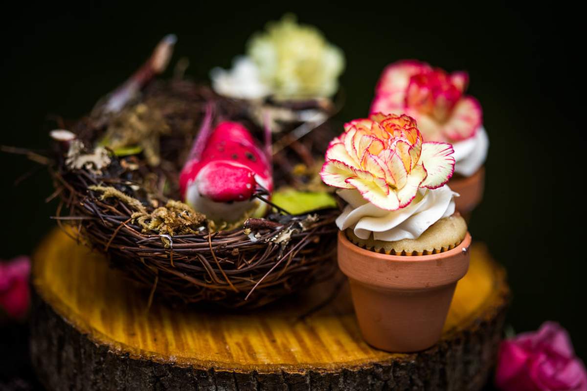 "Edna's Enchanted Secret Garden" Birthday Party Ideas | Photo 1 of 44 ...