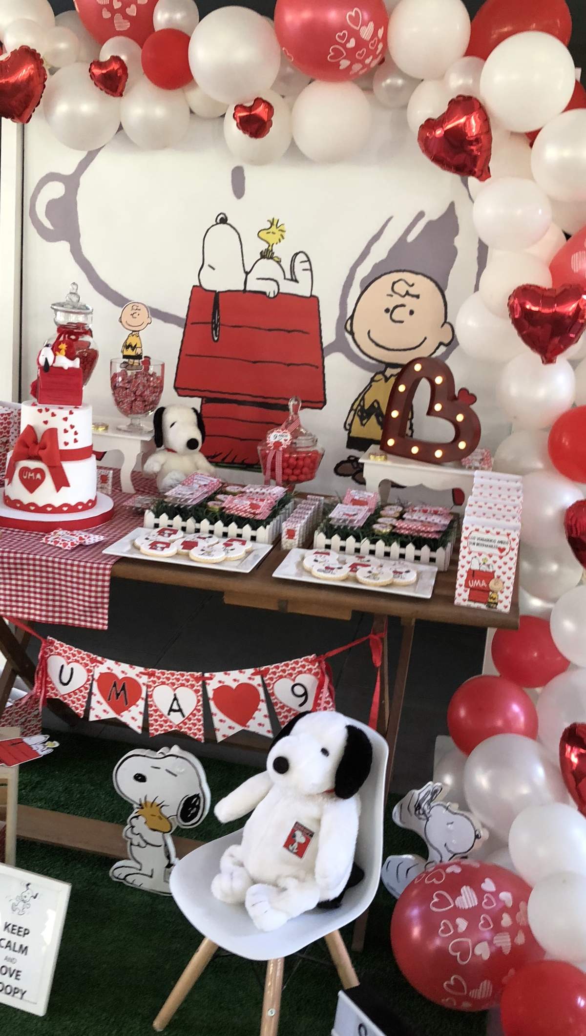 Snoopy Love Birthday Party Ideas | Photo 1 of 11 | Catch My Party