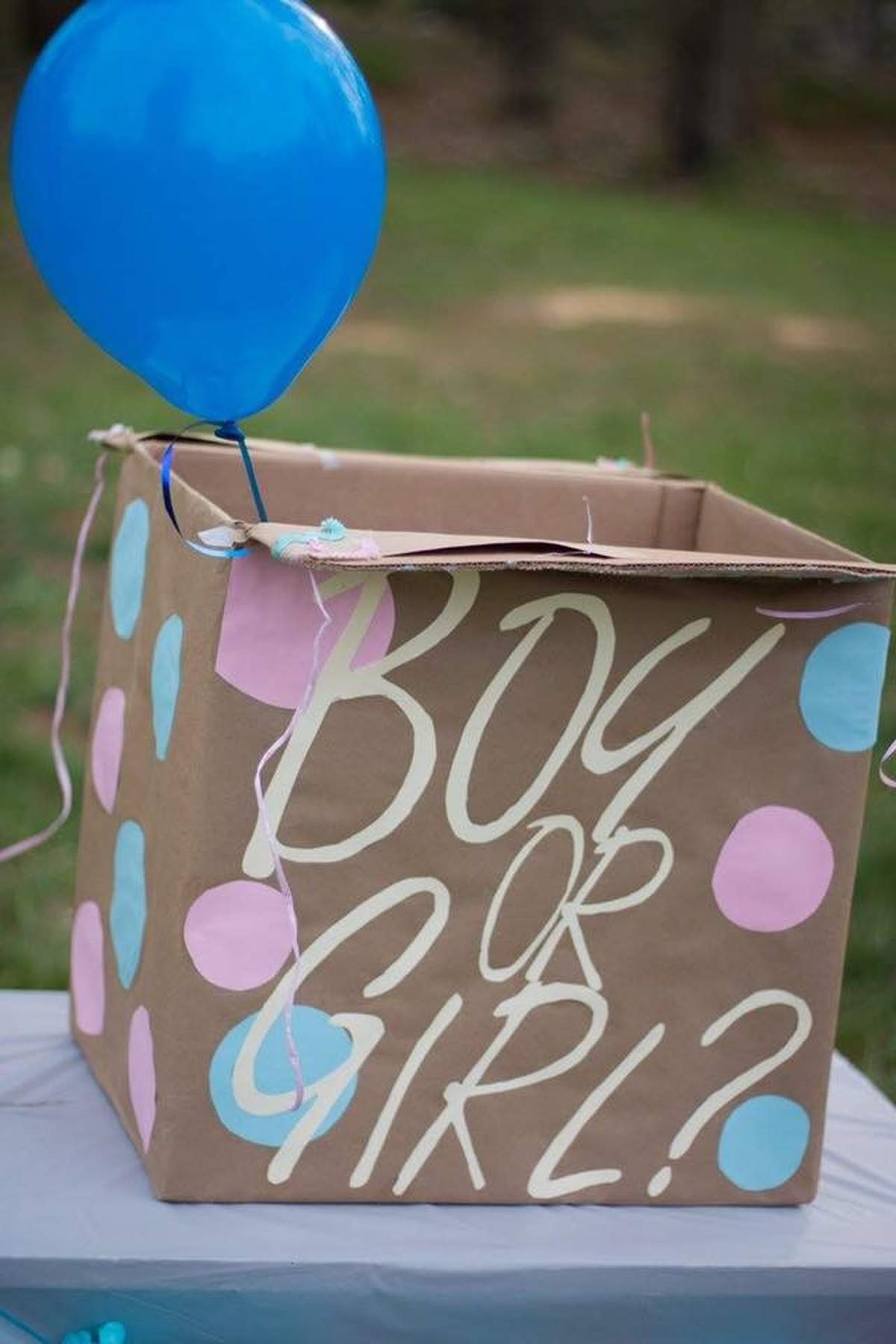 Bouncing Little He or Pretty Little She Gender Reveal Party Ideas ...