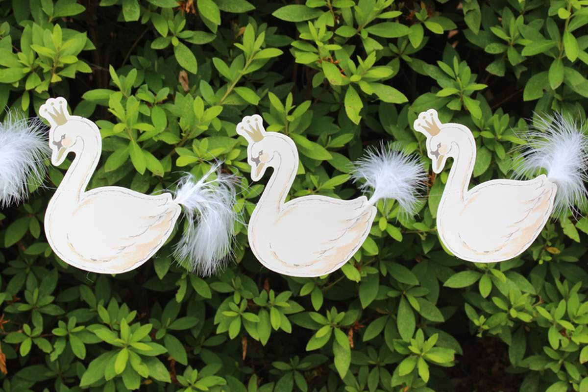 Swan Birthday party Birthday Party Ideas | Photo 1 of 13 | Catch My Party