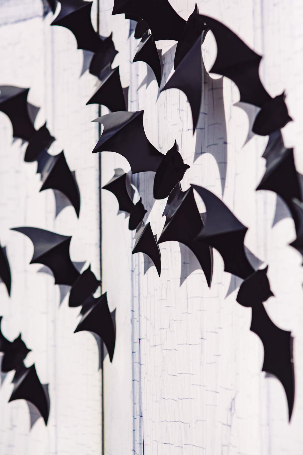 Black cats and bats Halloween party Halloween Party Ideas | Photo 6 of ...