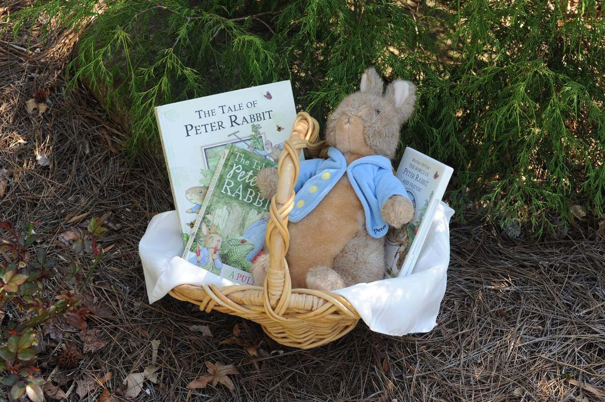 Peter Rabbit Easter Party Ideas | Photo 3 of 7 | Catch My Party