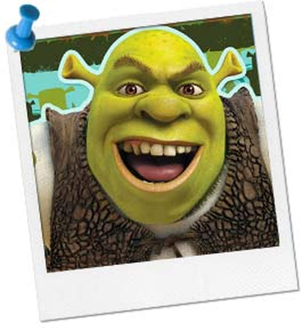 Shrek / Birthday "Shrek Birthday Party" | Catch My Party