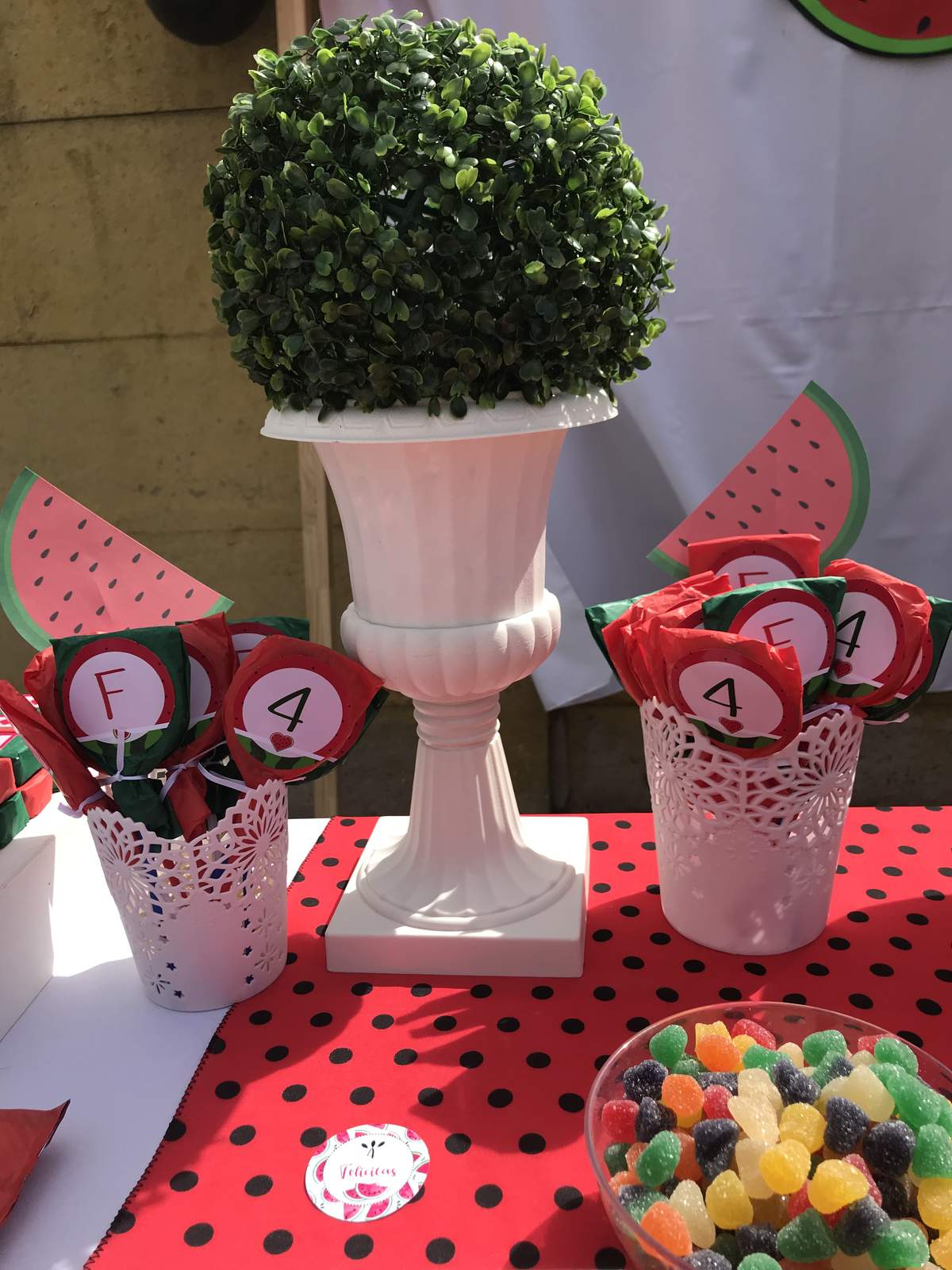 Watermelon Birthday Party Ideas | Photo 12 of 12 | Catch My Party