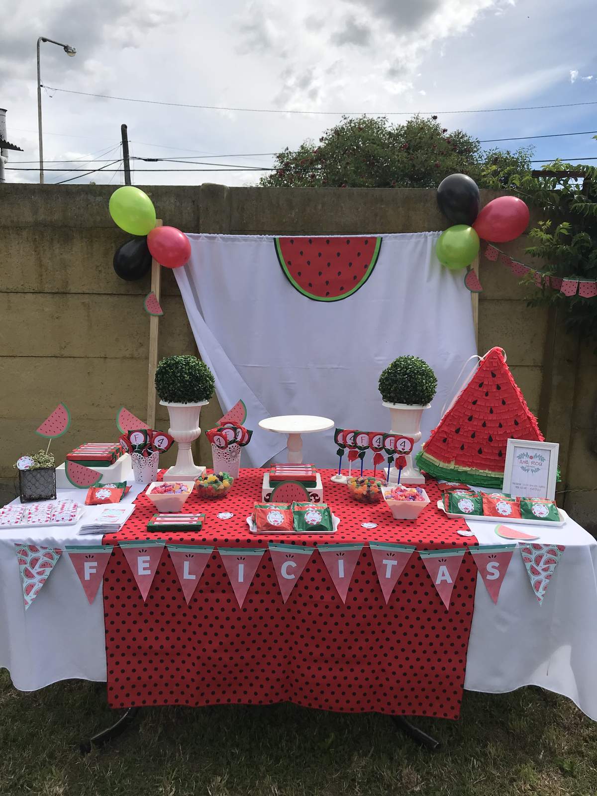 Watermelon Birthday Party Ideas | Photo 12 of 12 | Catch My Party
