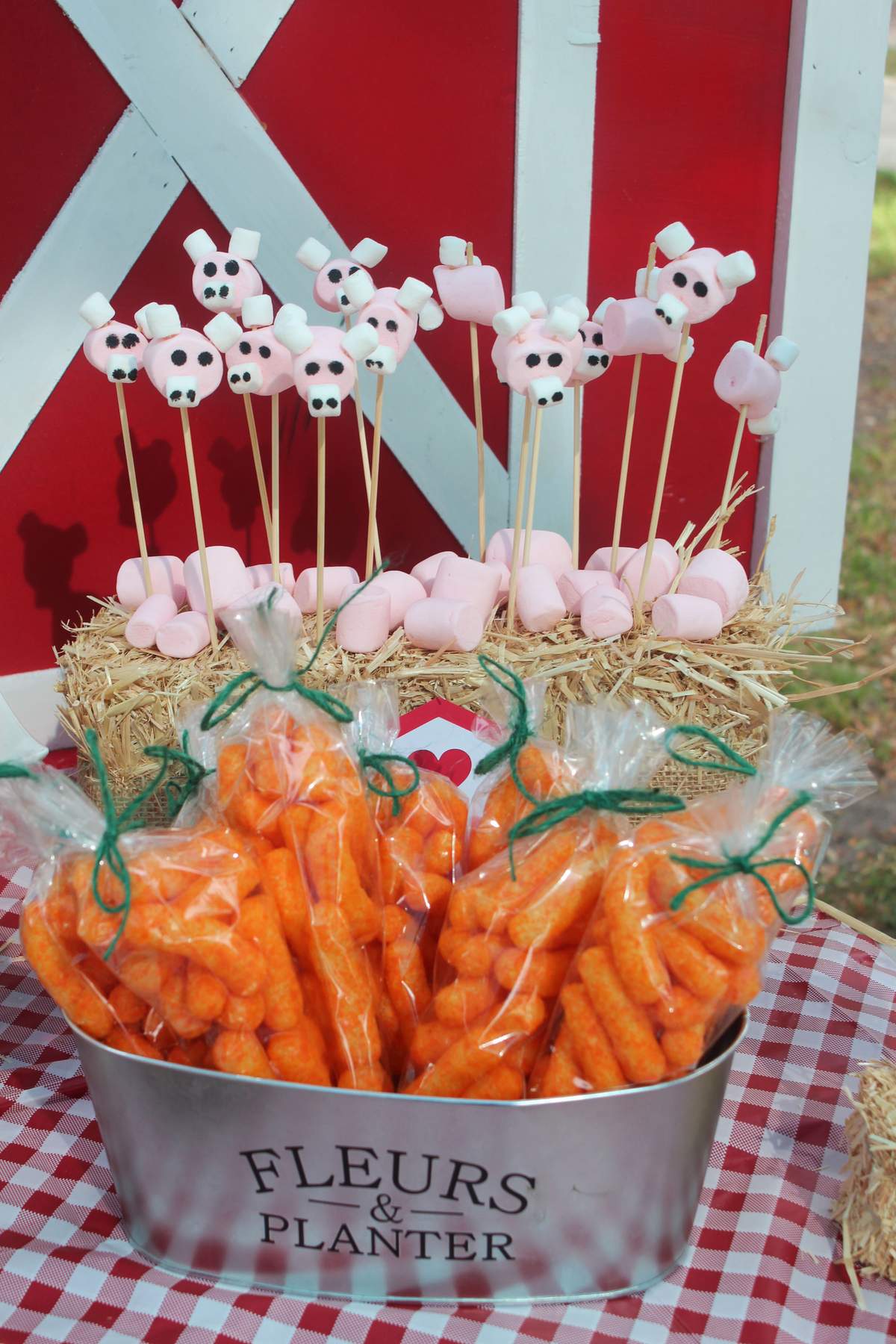 Farm Animals Birthday Party Ideas | Photo 9 of 20 | Catch My Party