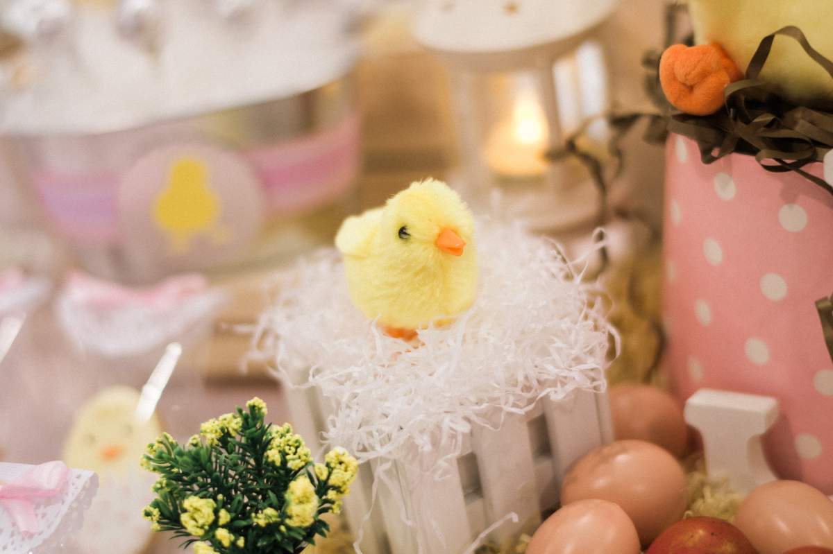 Little Chick Party Birthday Party Ideas | Photo 5 of 24 | Catch My Party
