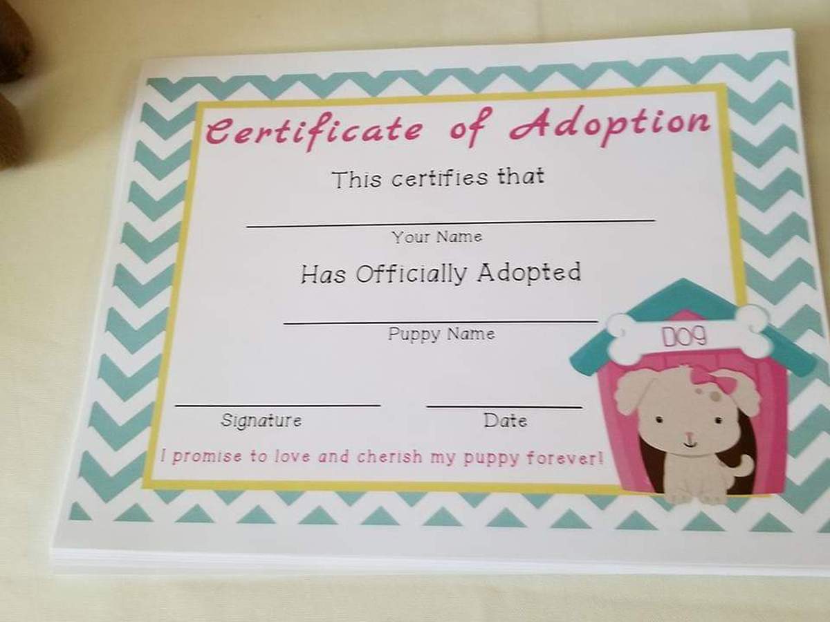 Adopt a Friend Birthday Party Ideas | Photo 2 of 12 | Catch My Party