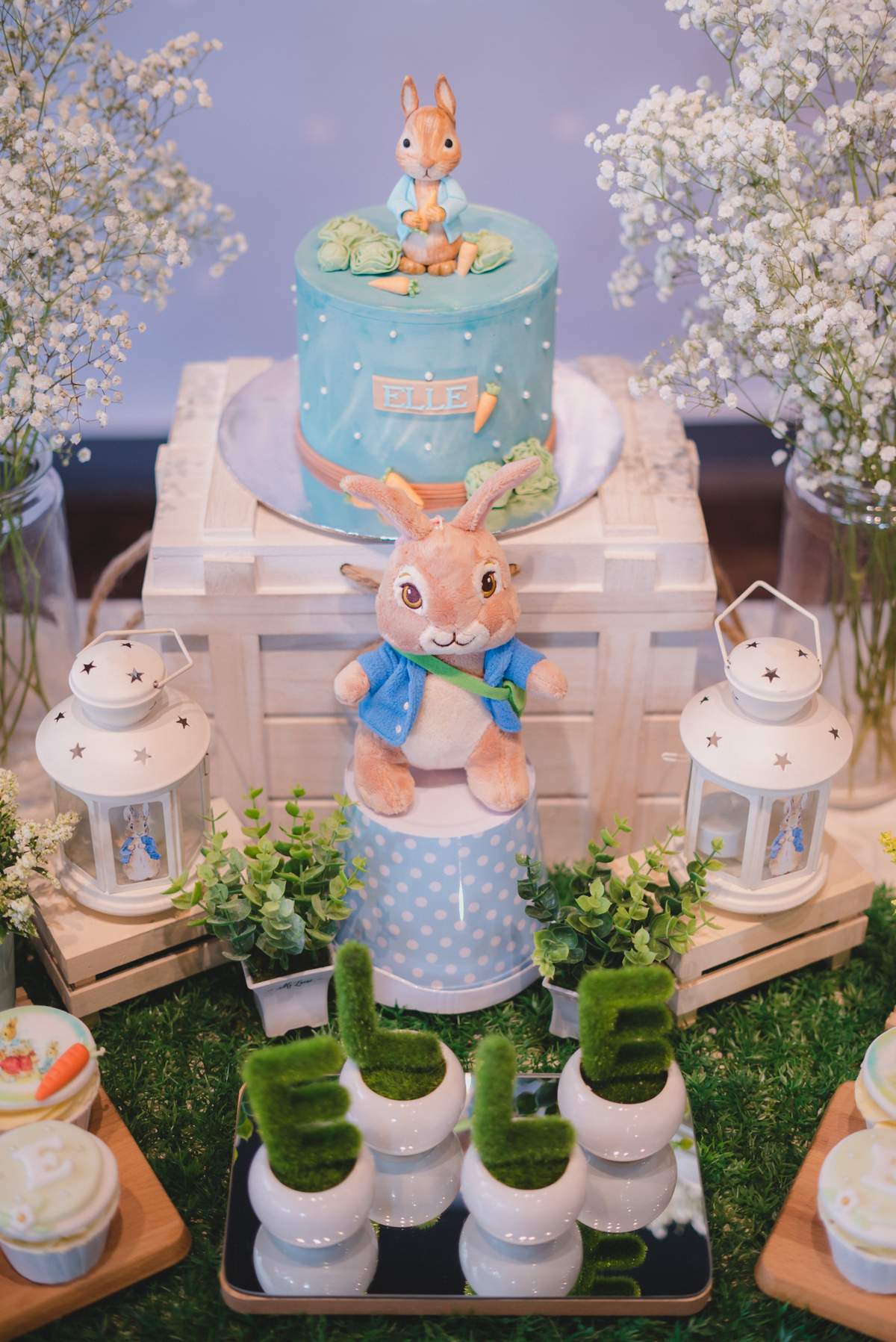 Peter Rabbit Theme Birthday Party Ideas | Photo 1 of 25 | Catch My Party