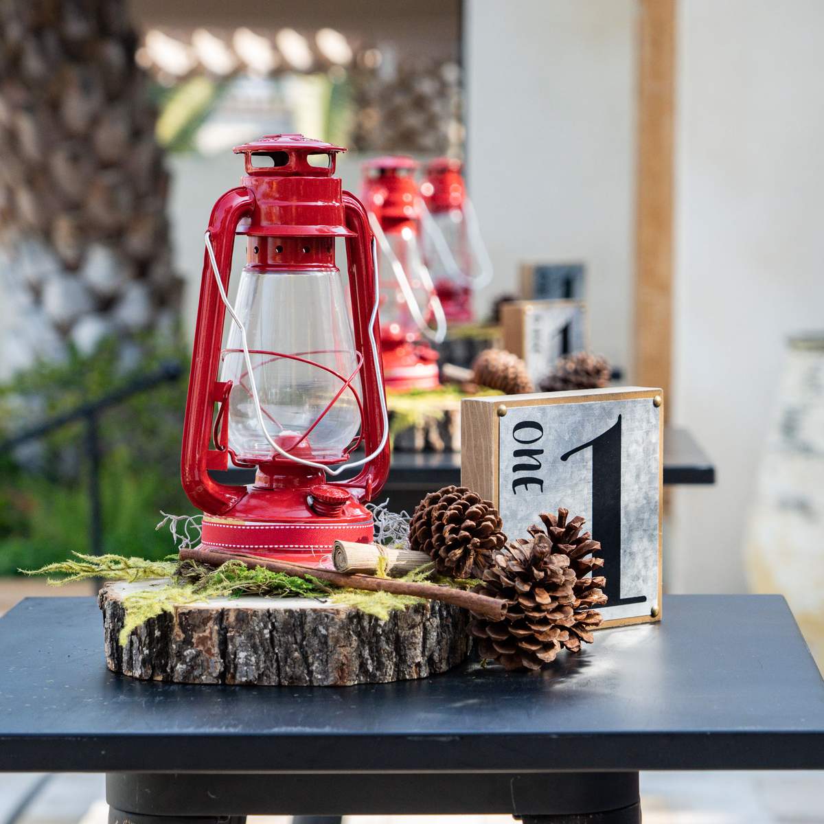 Lumberjack Birthday Party Ideas | Photo 27 of 43 | Catch My Party